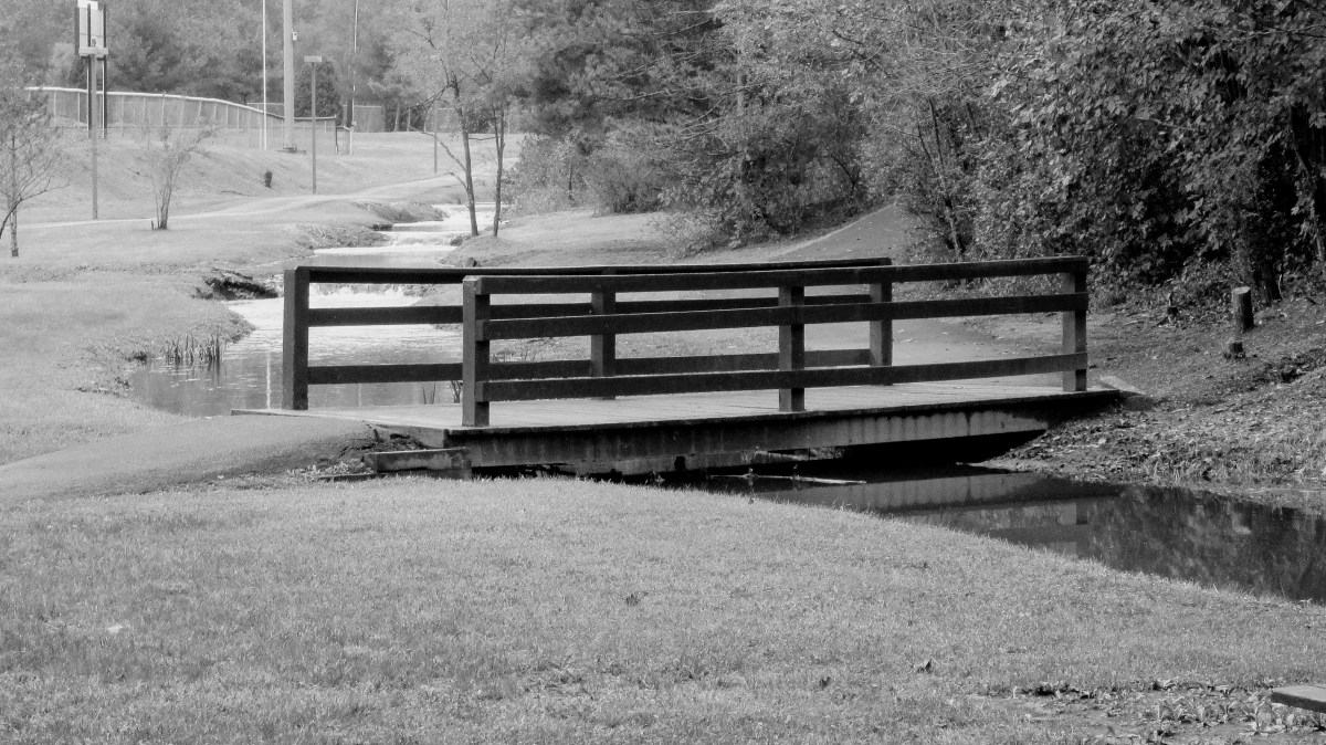 Adulting: Trying to Stop the Self-Pity Train before it departs – Dustin ...